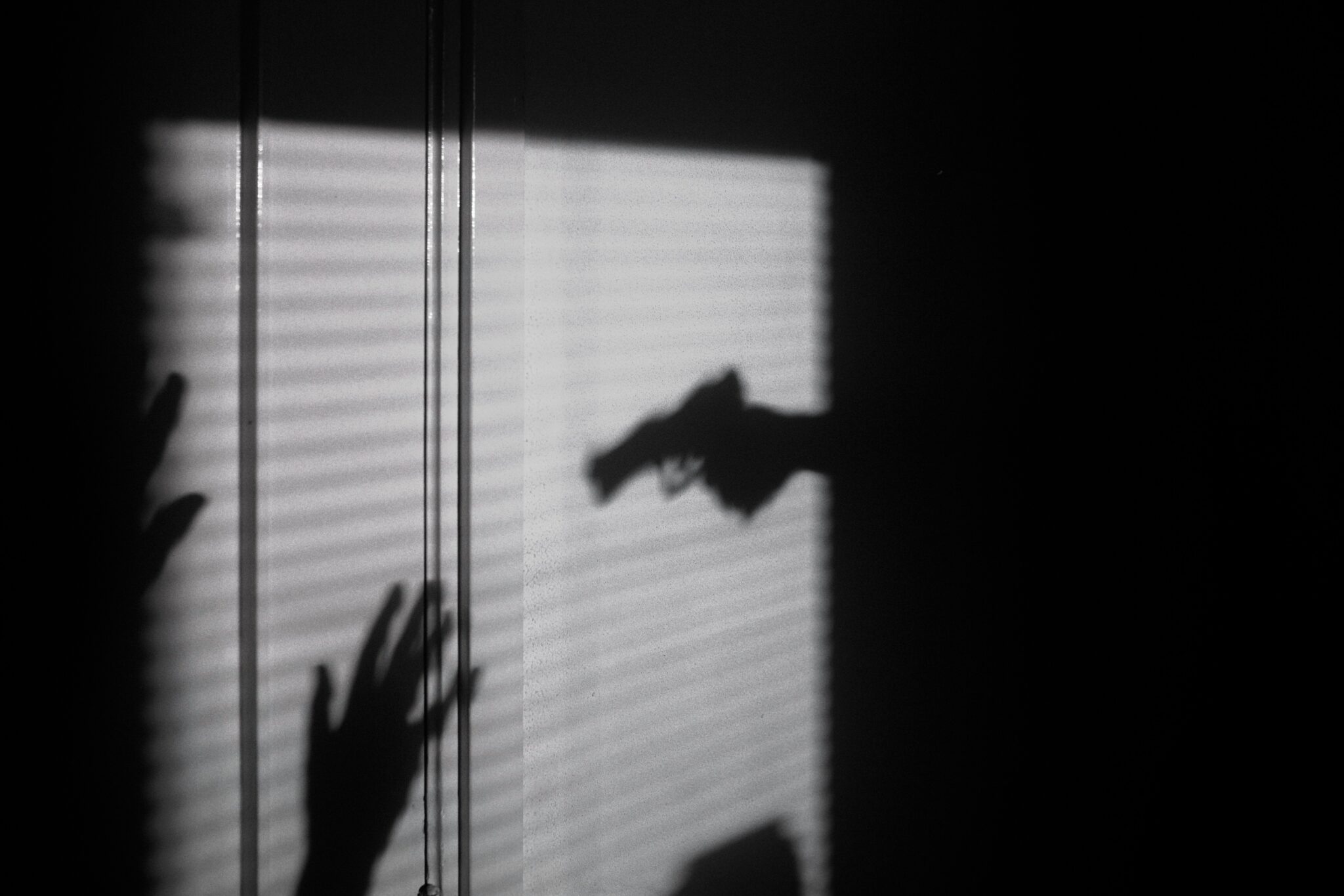 France's Ongoing Battle Against Crime: From Infamous Criminals to ...